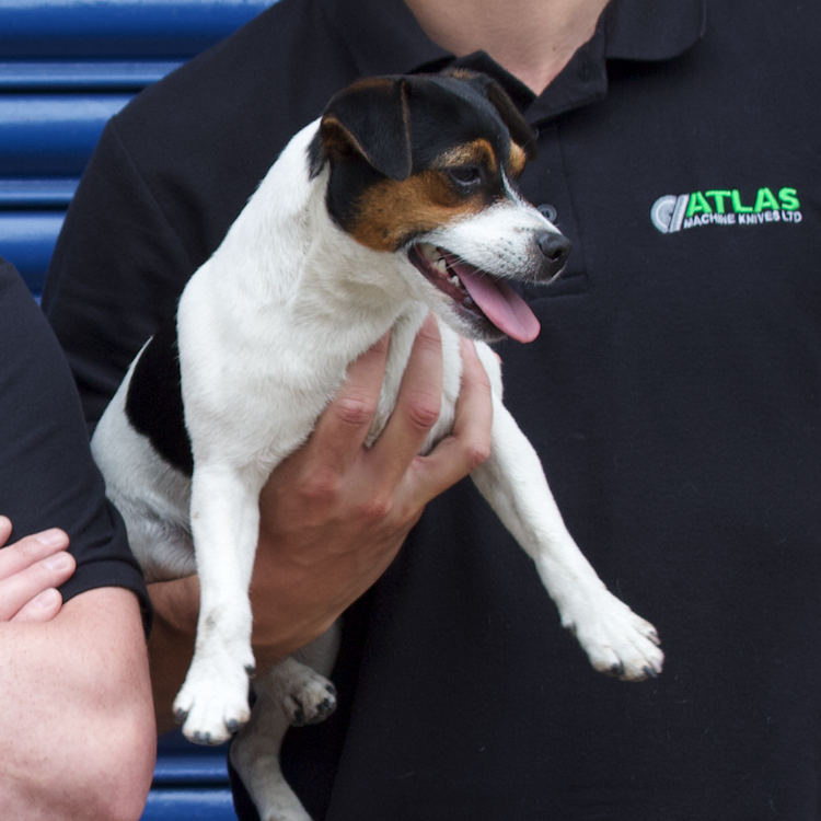 About Us - UK Knife Sharpening Service - Knife Sharp